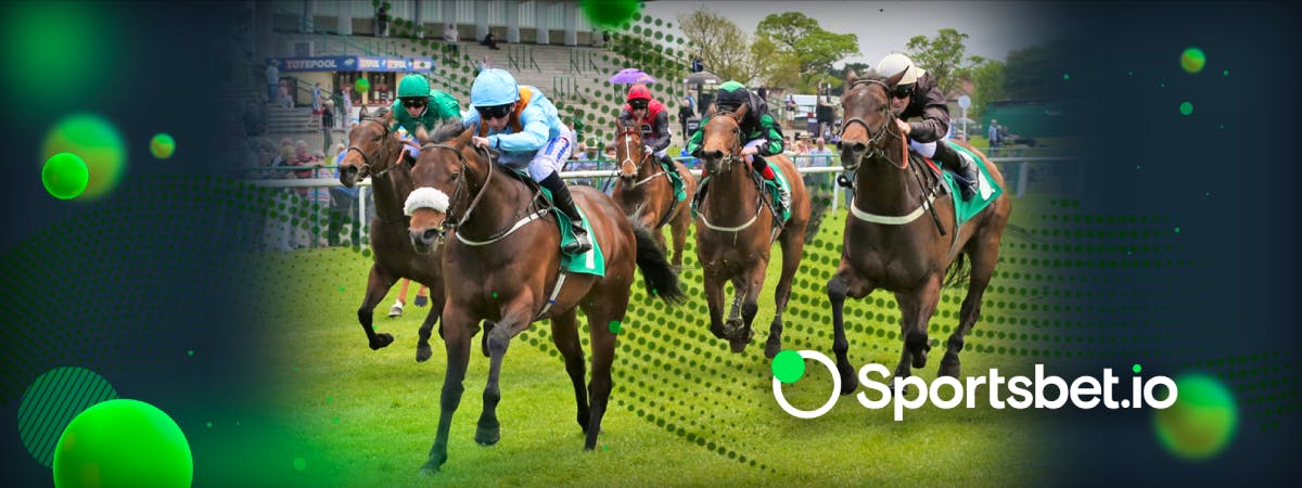 JRA Best Bets Saturday December 10 - Sportsbet.io