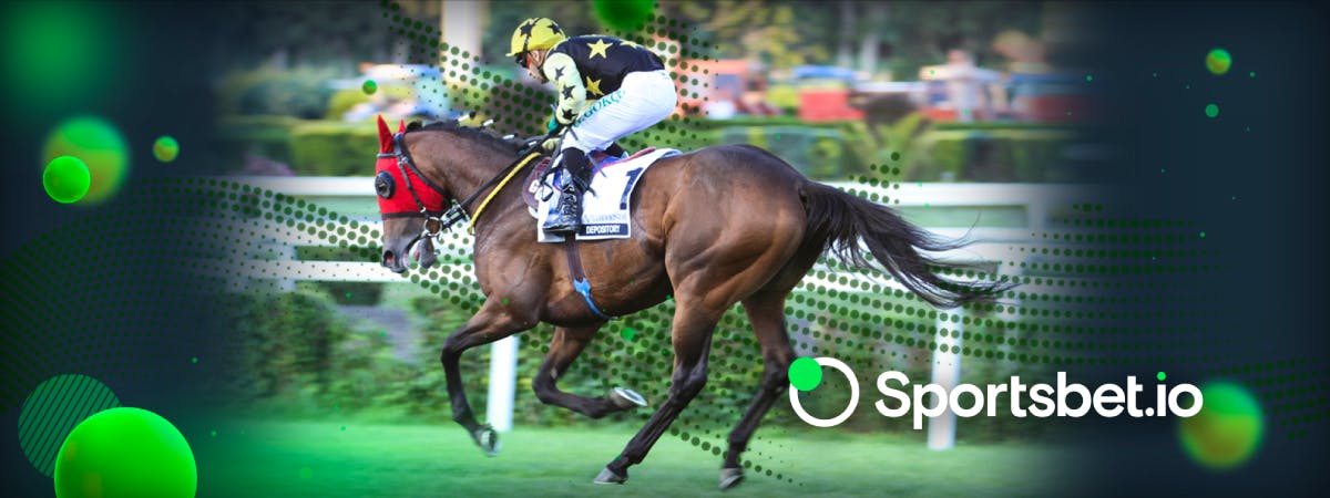 Japan Racing Preview – 19th December 2022 - Sportsbet.io